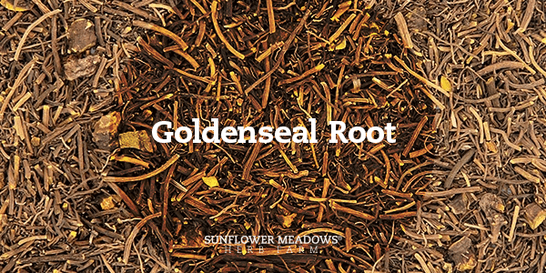 Unlock the Power of Goldenseal Root - Sunflower Meadows Herb Farm